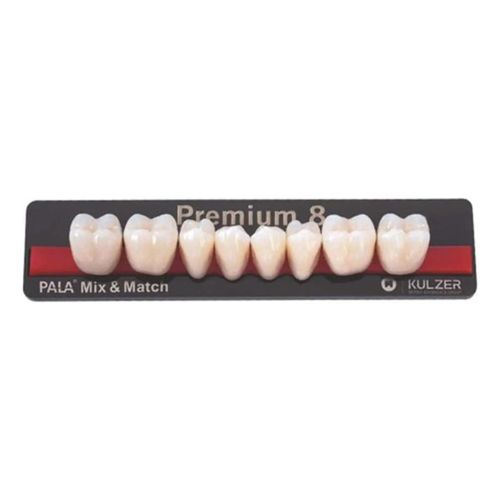 Dente Premium Cor Bl2 Posterior Inferior Ll - Kulzer