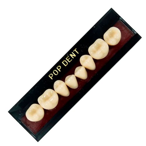 DENTE POP DENT COR 67 POSTERIOR INFERIOR 30L - VIPI