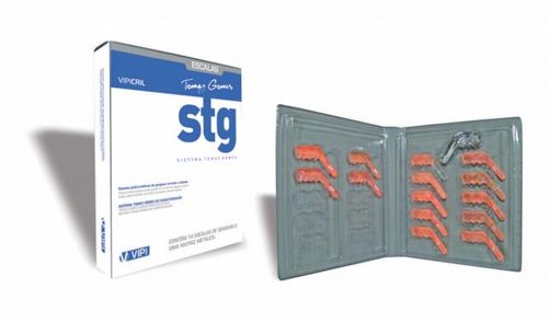 Stg - Escala De Gengivas - Vipi