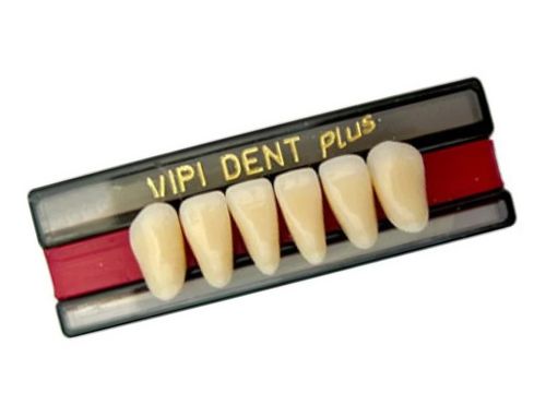 DENTE VIPI DENT PLUS COR 66 ANTERIOR INFERIOR A25 - VIPI