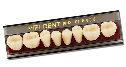 DENTE VIPI DENT PLUS COR 67 POSTERIOR INFERIOR 32M - VIPI